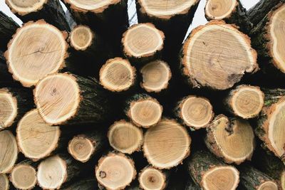 UK facing timber shortage 'well into 2021'